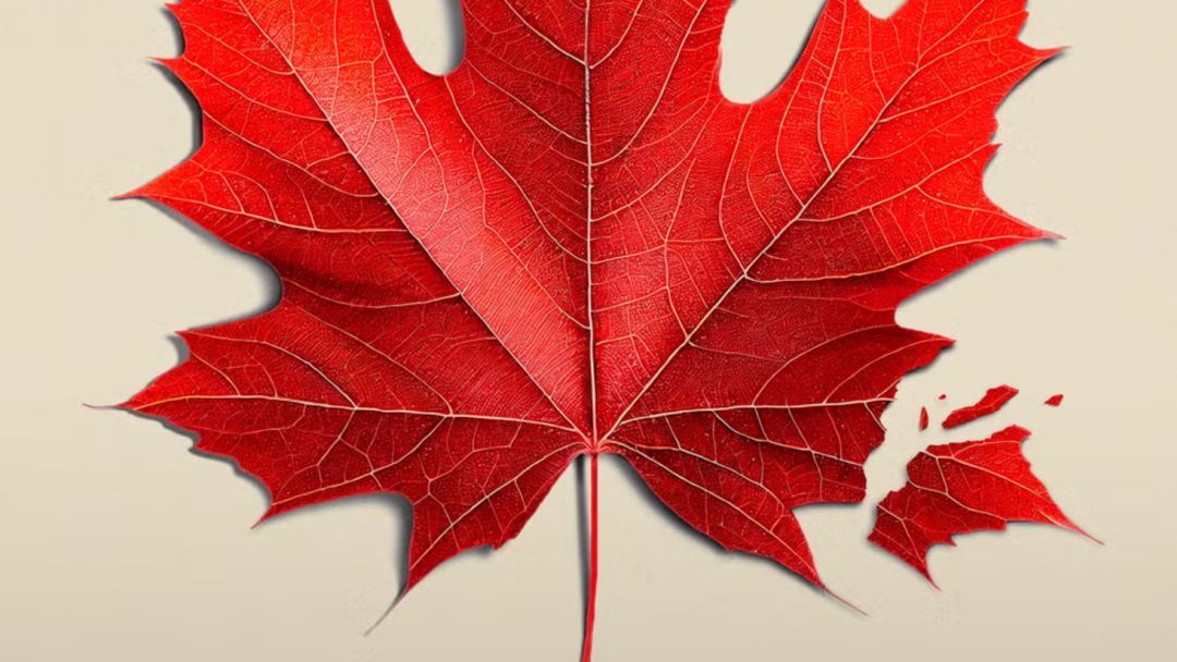 «Oh, Canada» - Via-News.es